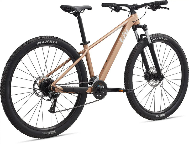 Giant Mountain Bikes